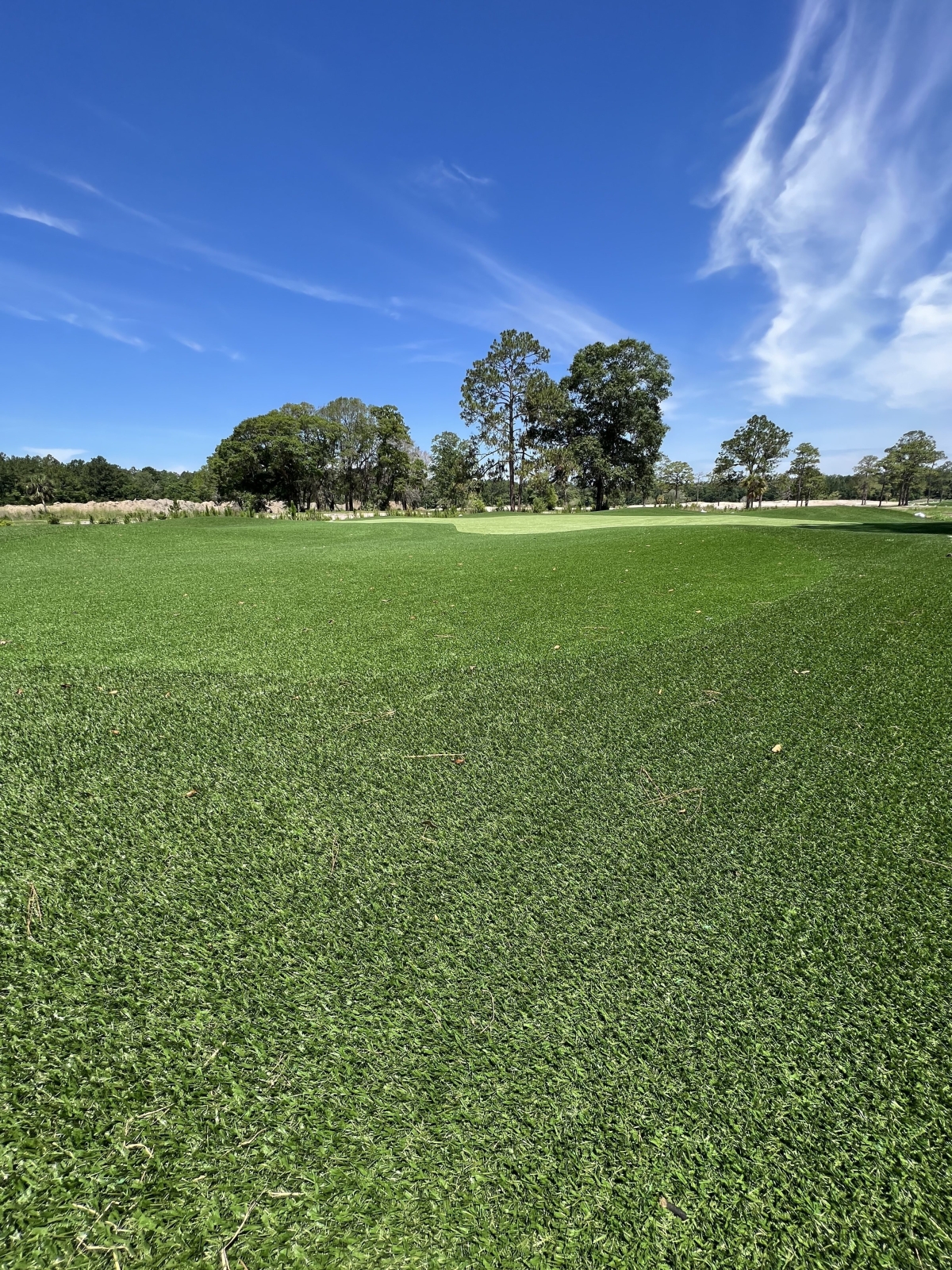 Pine Royale | Greens in Progress: Turf’s Going Down at Pine Royale