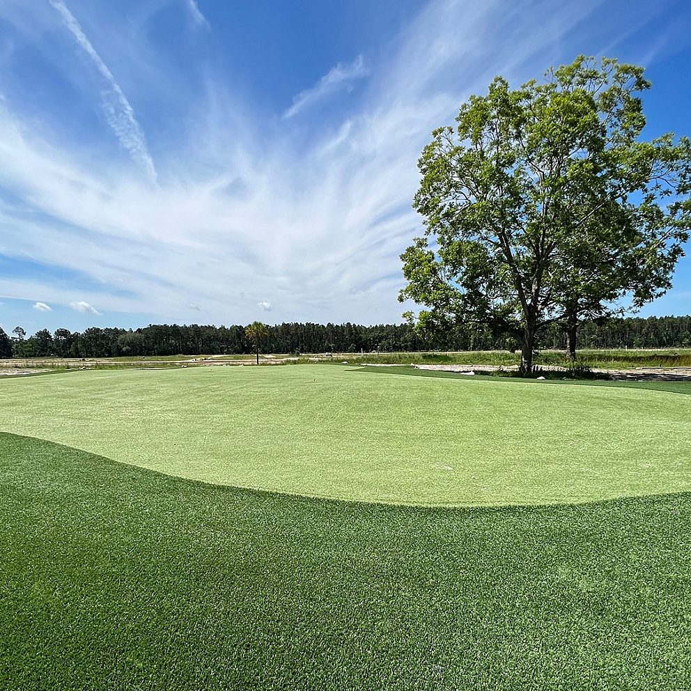 Pine Royale | Greens in Progress: Turf’s Going Down at Pine Royale